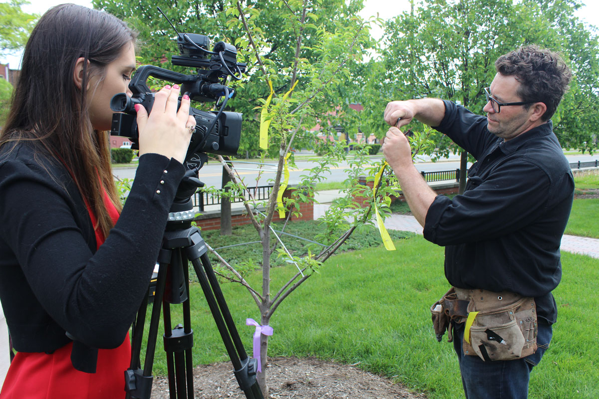 Surprise Acquisition Unveiling! Tree of 40 Fruit by Sam Van Aken ...